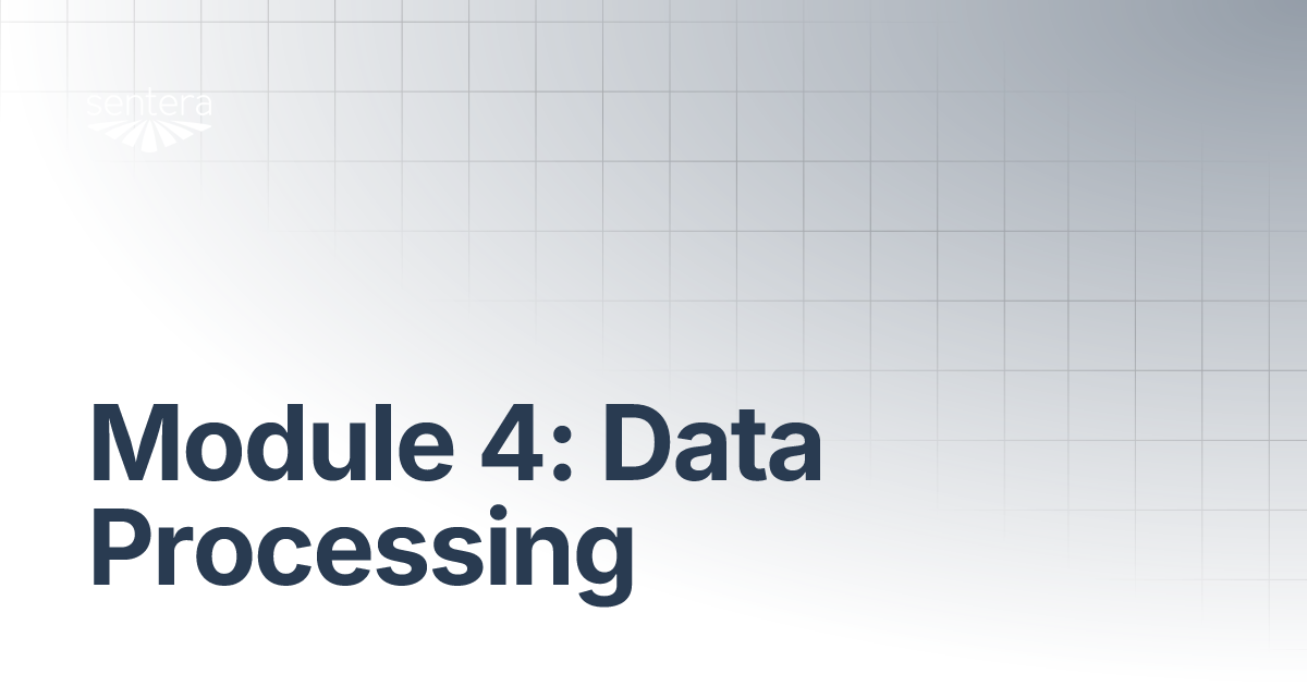Module 4: Data Processing | Sentera Support